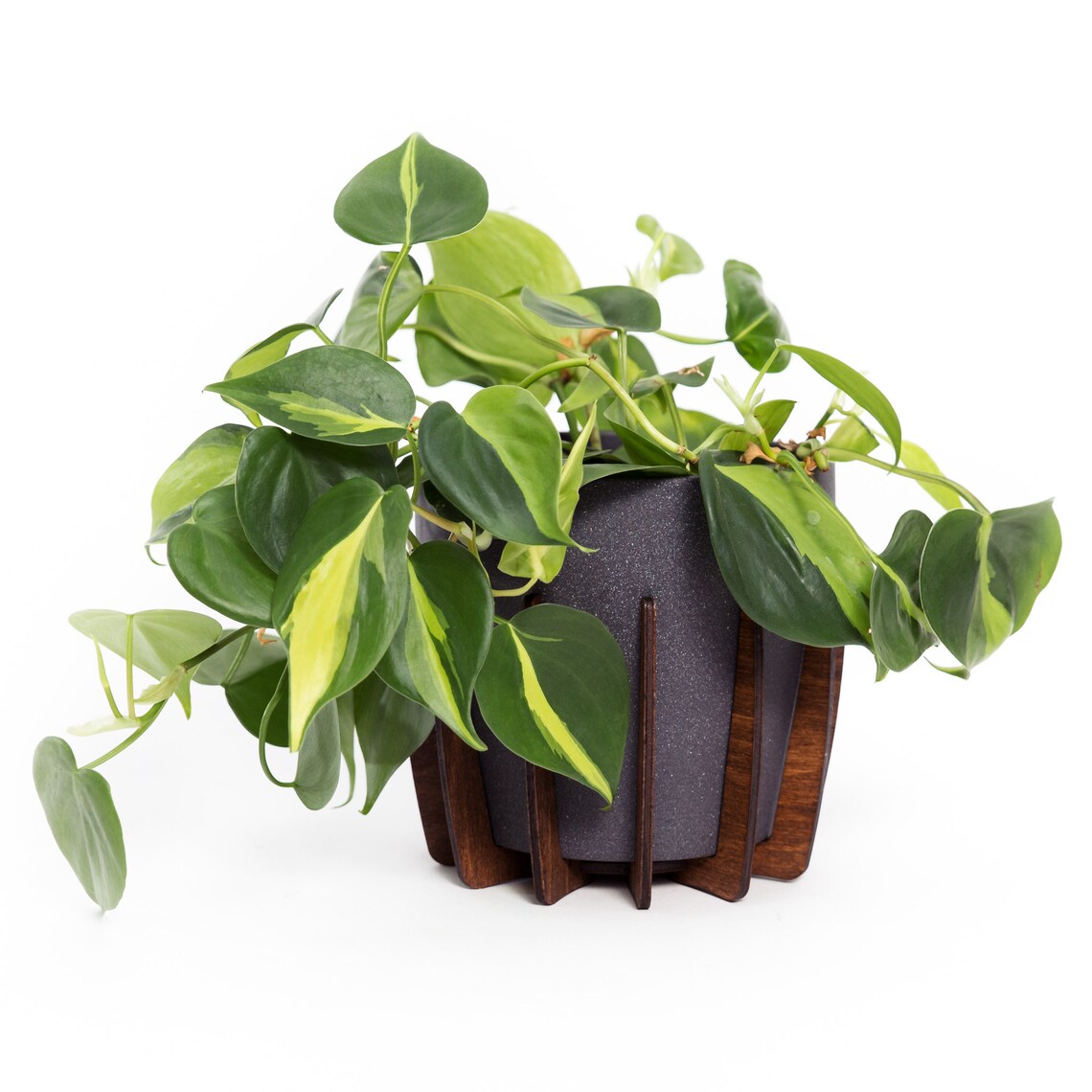 Wooden Plant Pot for Ikea PERSILLADE Pot 100mm Tall Digital - Etsy