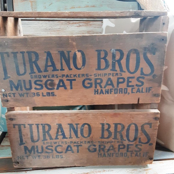 Grape Crate - Etsy