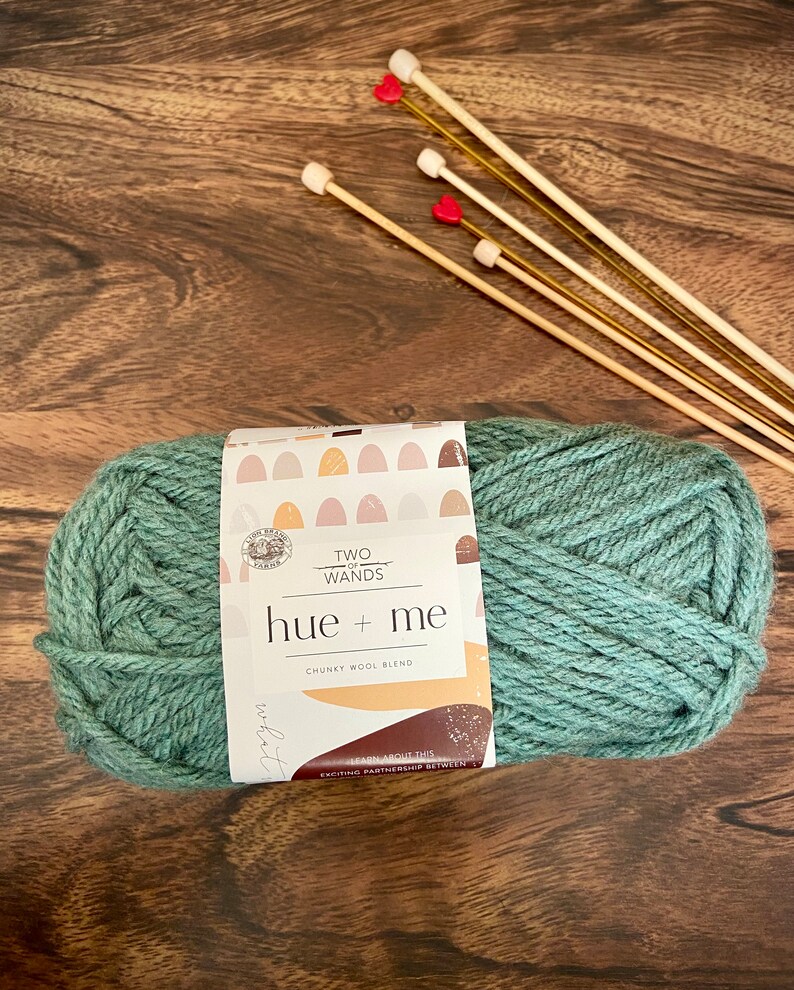 Lion Brand Hue Me Bulky Wool Blend Yarn, Colorway:agave 1 Skein, 137 ...