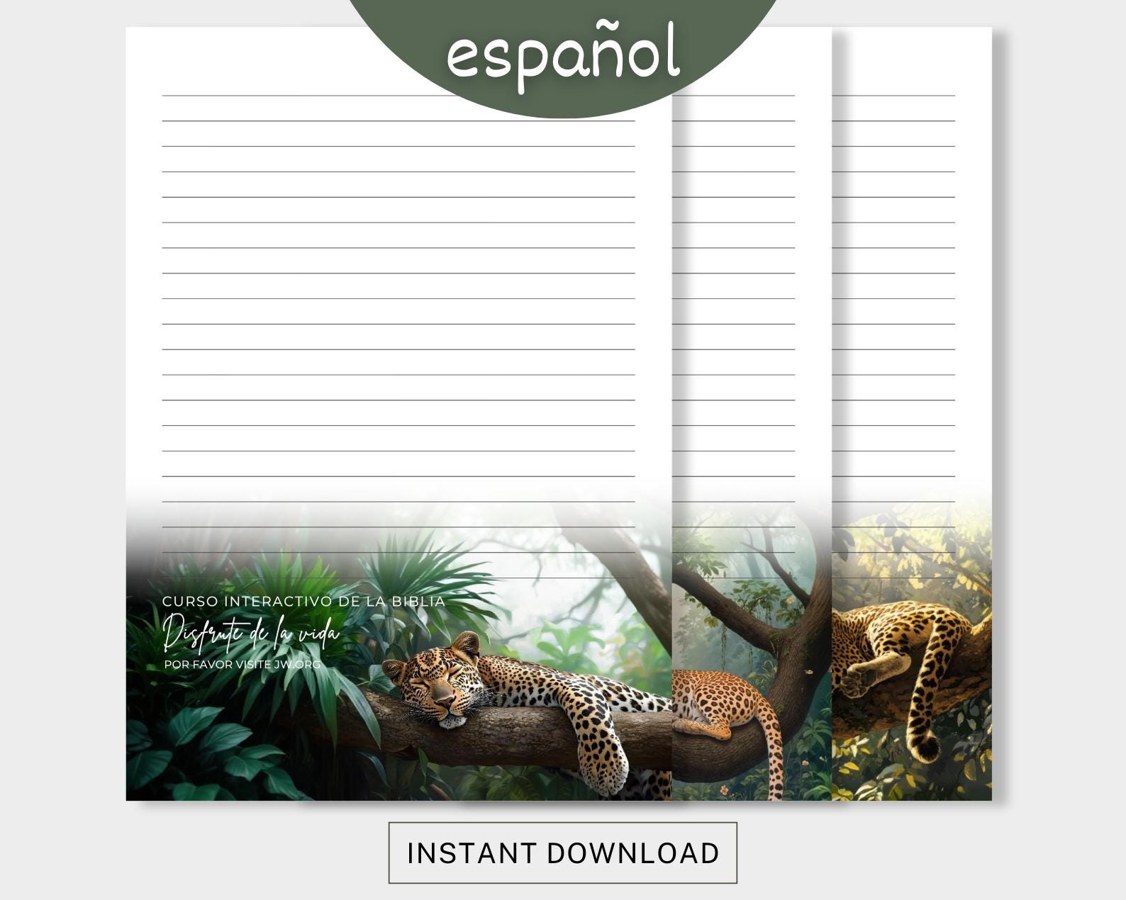 JW Letter Writing Paper Spanish, JW Letterheads, Leopard Bundle ...