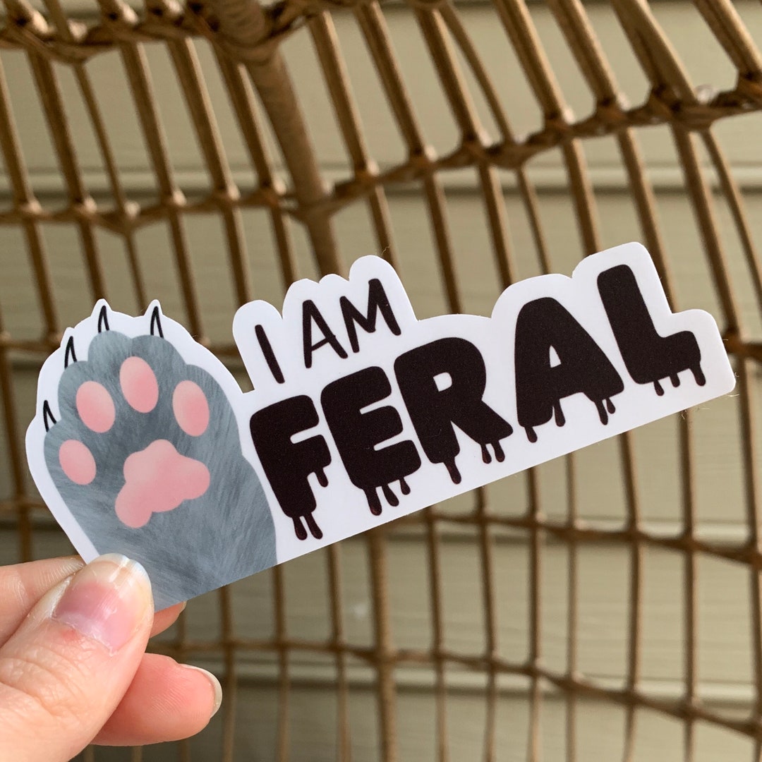 I Am Feral Murder Mittens Toe Beans Cat Paw Vinyl Decal Sticker - Etsy