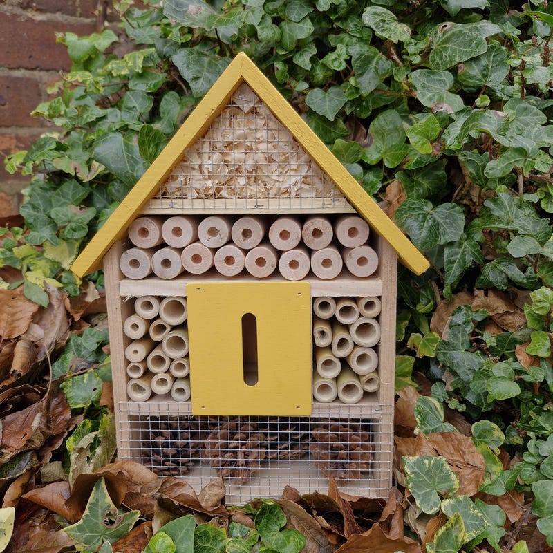 Bug House - Etsy UK