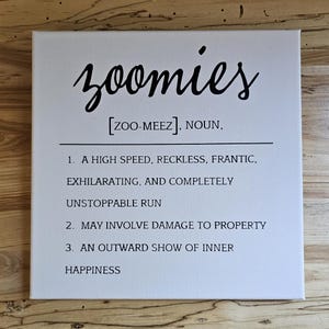 Zoomies, Home Decor, Dog Decor, Cat Decor, Pet Decor, Reverse Canvas ...