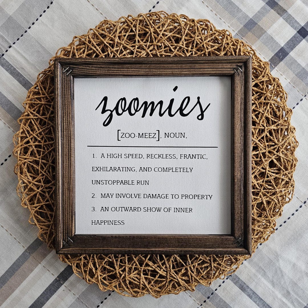 Zoomies, Home Decor, Dog Decor, Cat Decor, Pet Decor, Reverse Canvas ...