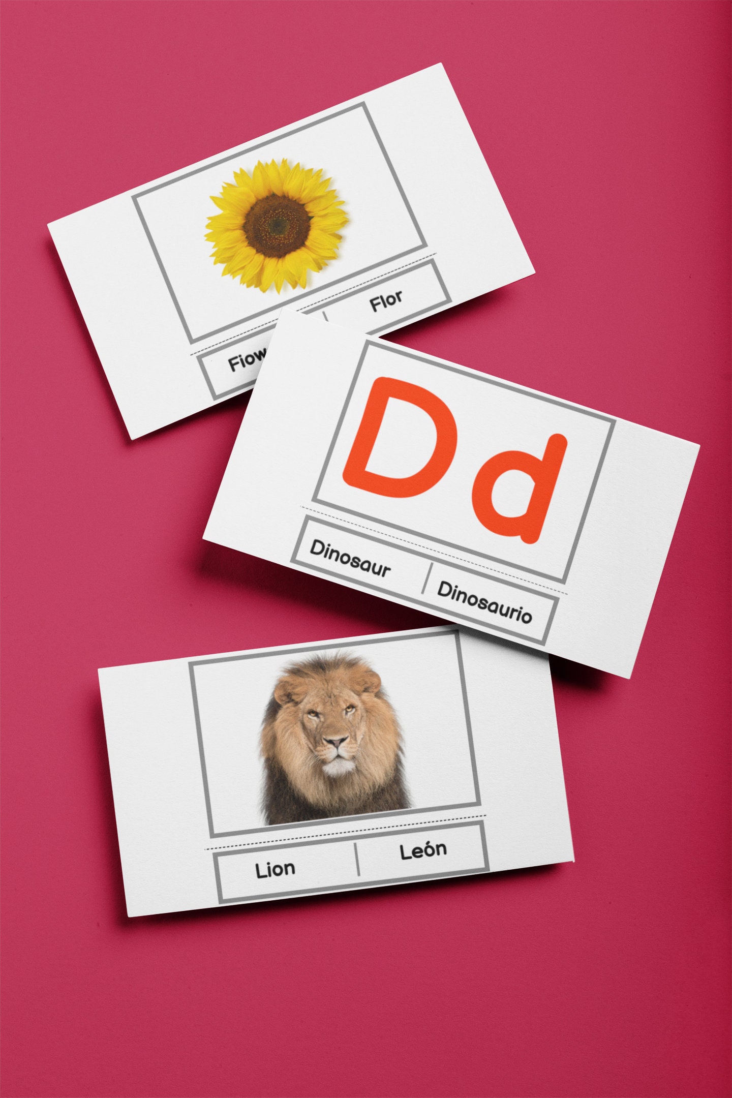 English & Spanish - Alphabet Printable (montessori) Bilingual Bilingüe ...