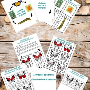 Life Cycles Spanish - Ciclos De Vida Imprimible En Español (montessori ...