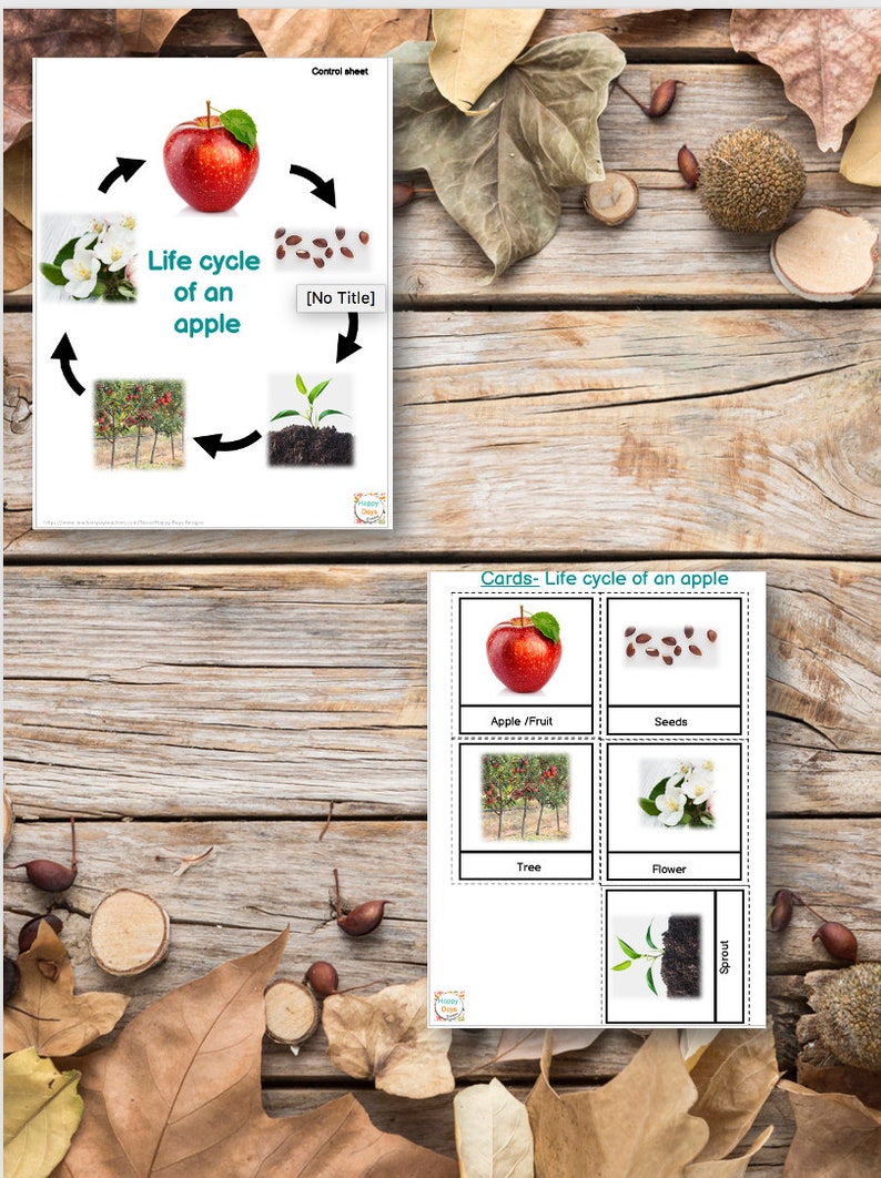 Life Cycles Printable- Biology Montessori - Etsy
