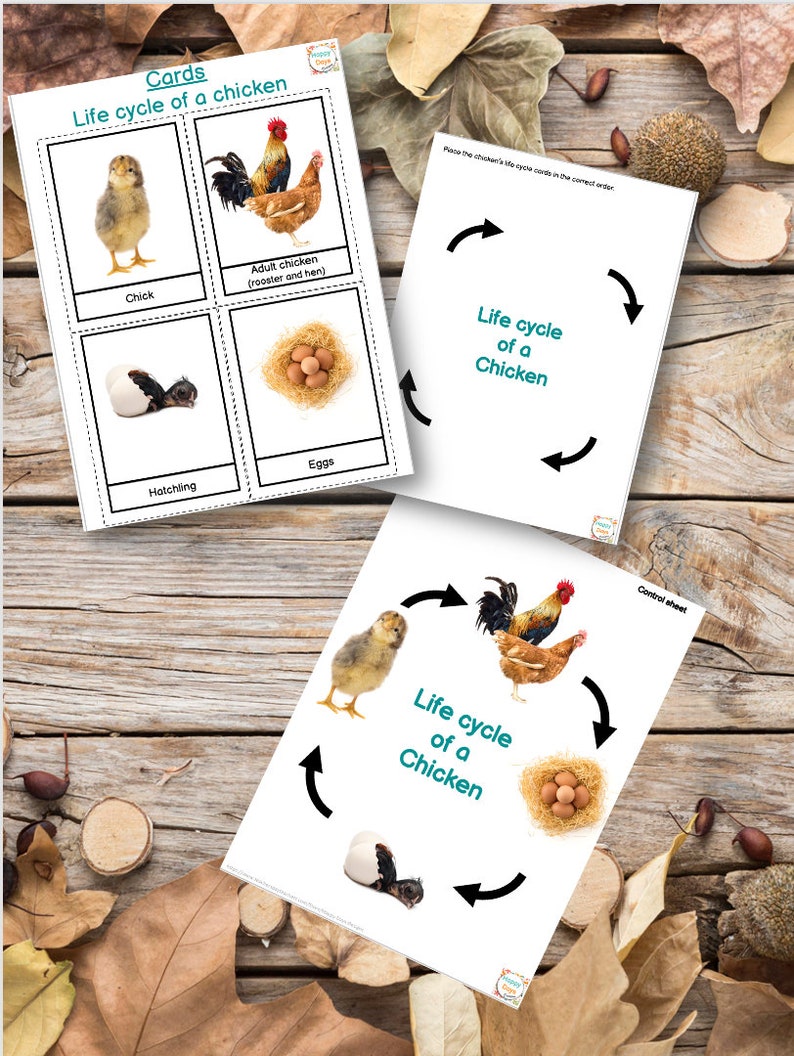 Life Cycles Printable- Biology Montessori - Etsy