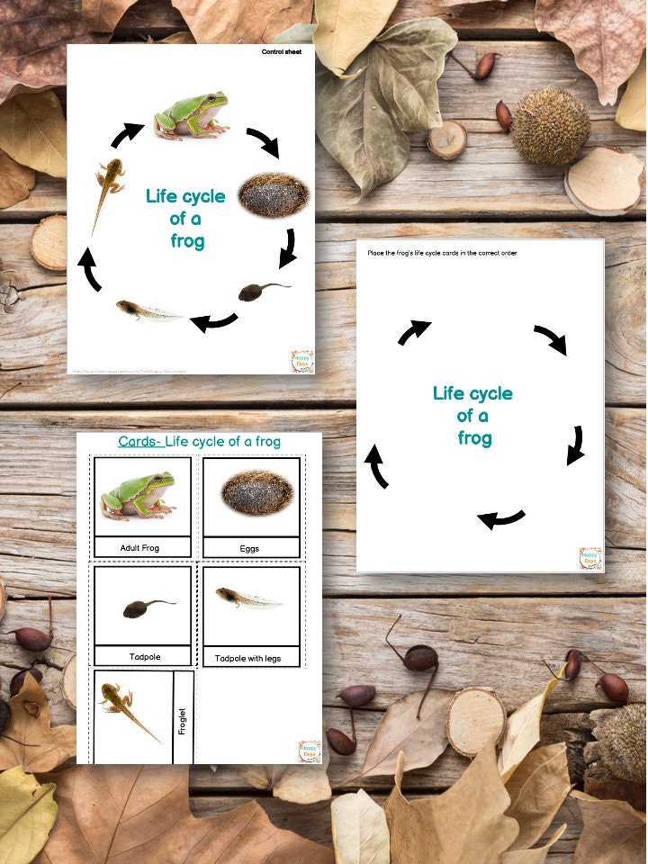 Life Cycles Printable. Life Cycle of a Chicken, Life Cycle of Plants ...