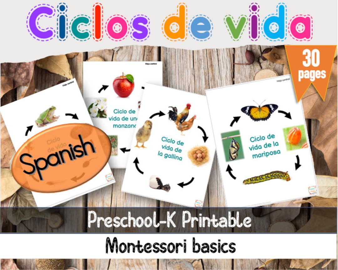 Life Cycles Spanish - Ciclos De Vida Imprimible En Español (montessori ...