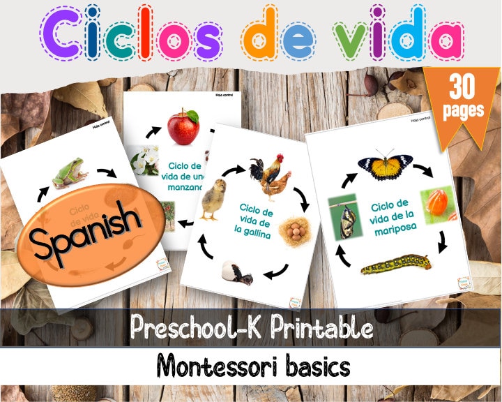 Life Cycles Spanish - Ciclos De Vida Imprimible En Español (montessori ...