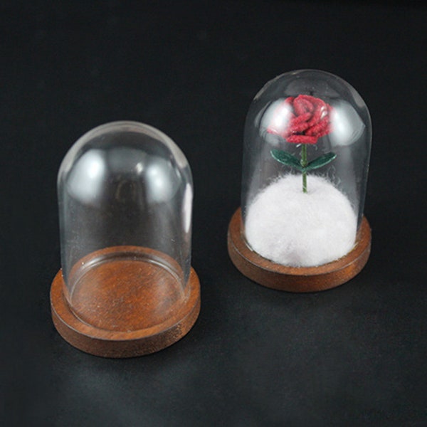 Glass Dome Display - Etsy