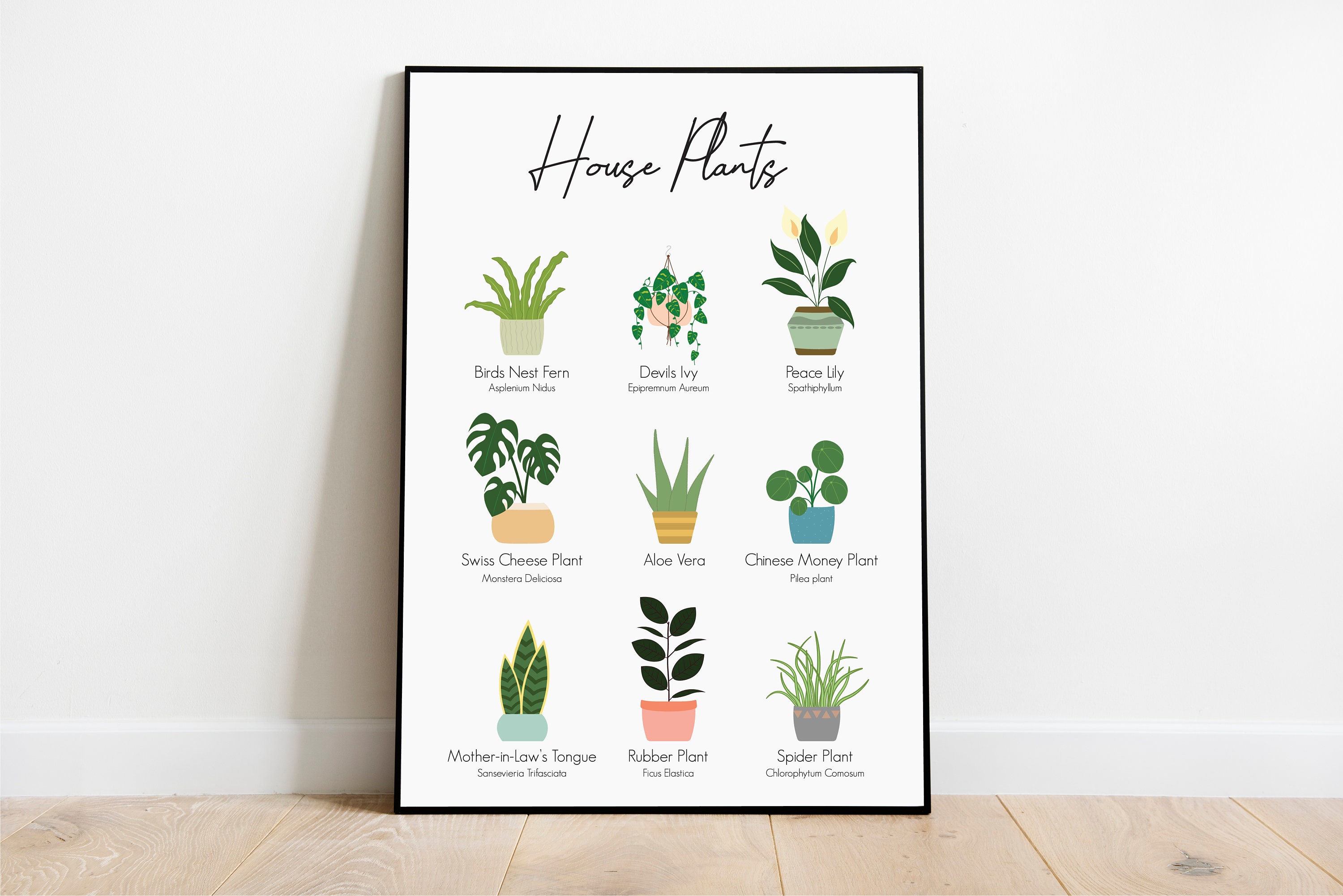 House Plant Poster, House Plant Guide, Botanical Wall Art, Indoor Plant ...