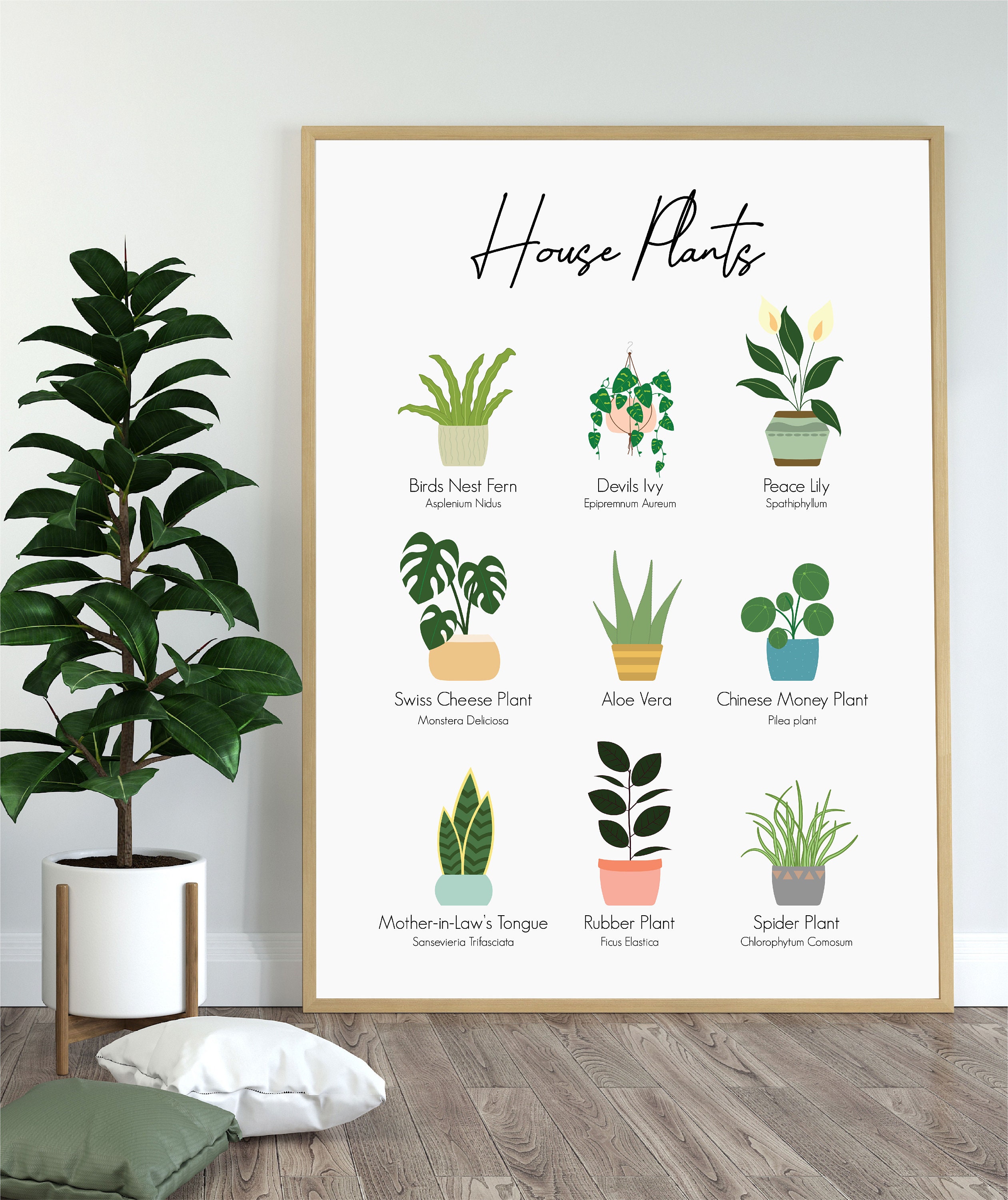 House Plant Poster, House Plant Guide, Botanical Wall Art, Indoor Plant ...