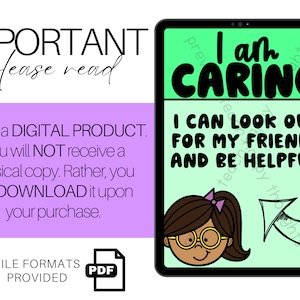 Character Building/traits | 30 Classroom Expectation Posters Color and ...