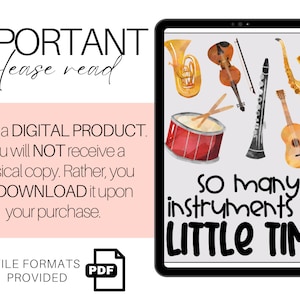 18 MUSIC Instruments CLASSROOM POSTERS Poster Set | Positive Puns ...