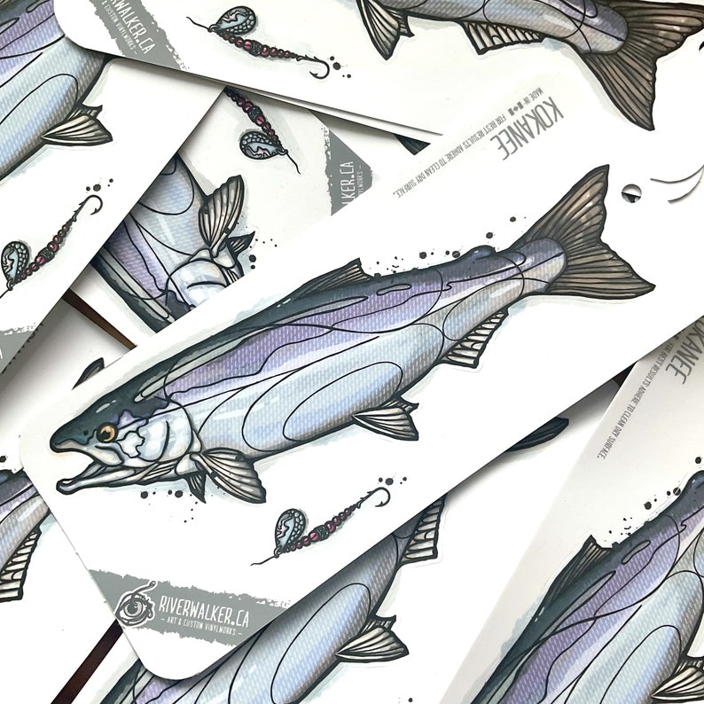 Kokanee - Salmon Sicker - Fishing Decal - Fly Fishing - Fish Art ...