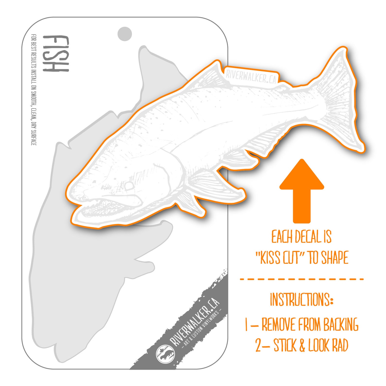 Coho - Salmon Sicker - Fishing Decal - Fly Fishing - Fish Art - Etsy