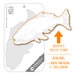Coho - Salmon Sicker - Fishing Decal - Fly Fishing - Fish Art - Etsy
