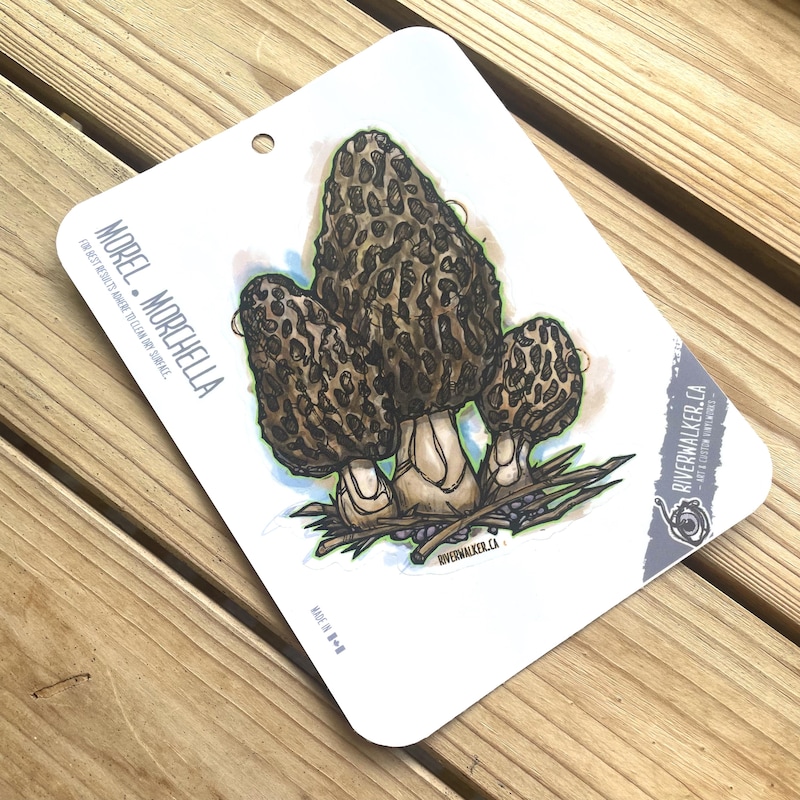RiverWalkerBC - Etsy