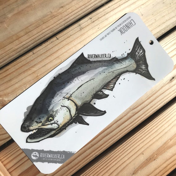 Chinook Salmon Sicker Fishing Decal Fly Fishing Fish - Etsy