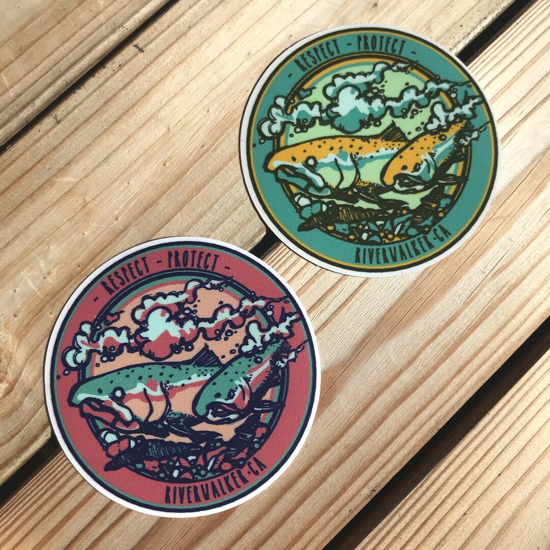 Coho Decal Fly Fishing Salmon Sticker - Etsy