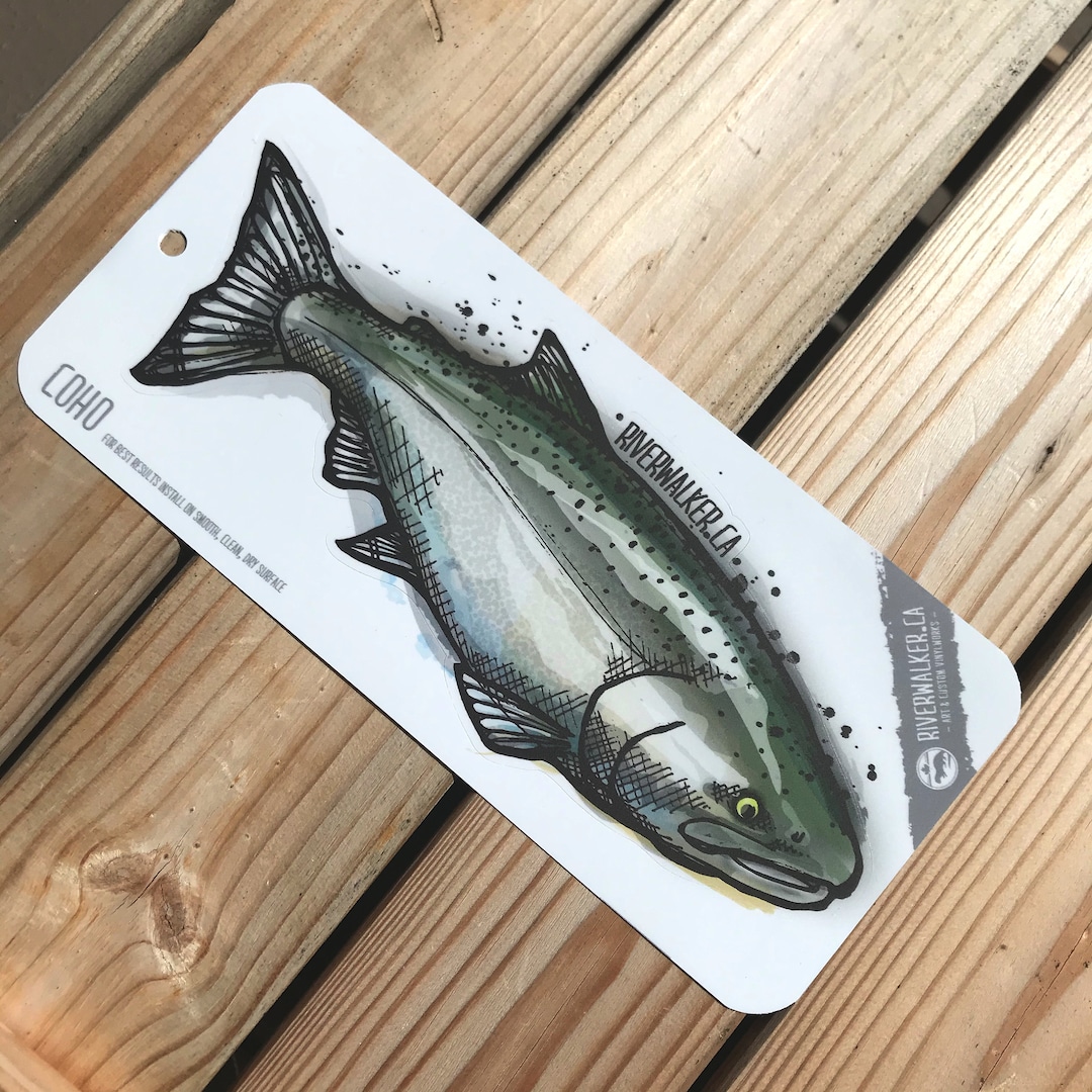 Coho - Salmon Sicker - Fishing Decal - Fly Fishing - Fish Art - Etsy