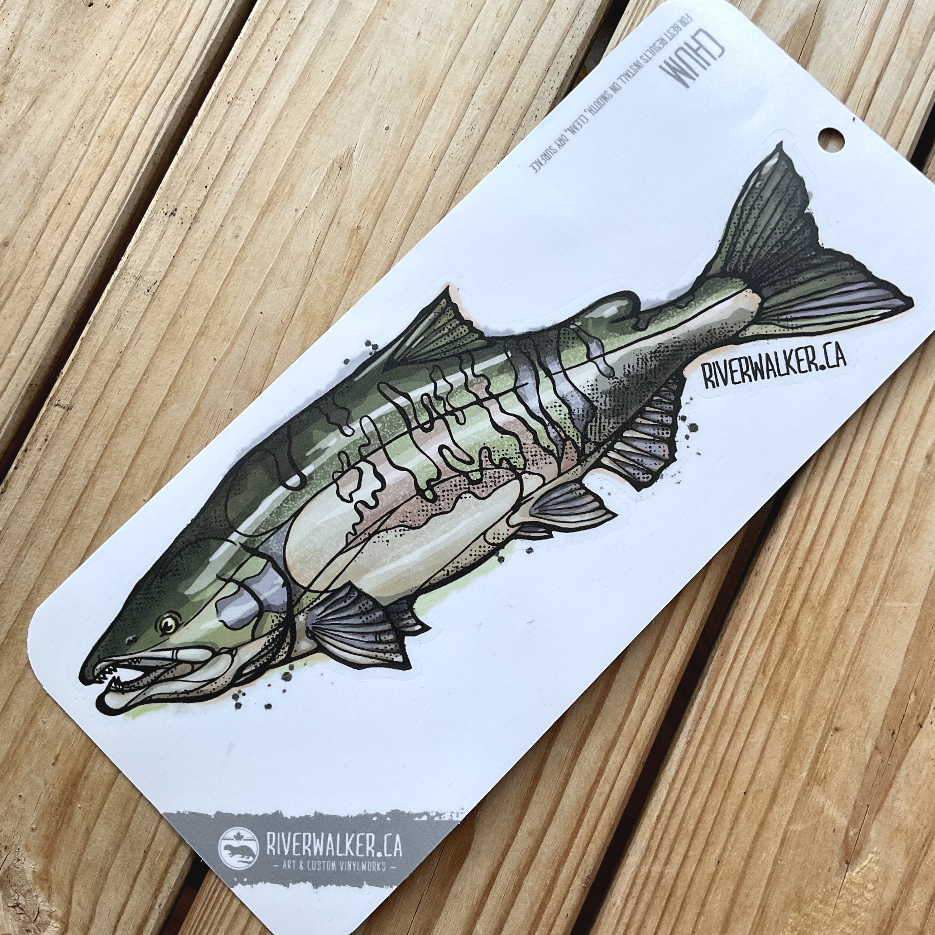 Chum Salmon - Fishing Decal - Fly Fishing - Fish Art - Etsy