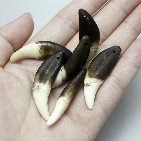 Wolf Teeth - Etsy