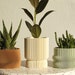 3D Printed Plant Pots: HOMER, MAYLA, ELIF in Pistachio Green, Almond ...