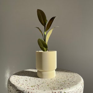 3D Printed Plant Pots: HOMER, MAYLA, ELIF in Pistachio Green, Almond ...