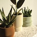 3D Printed Plant Pots: HOMER, MAYLA, ELIF in Pistachio Green, Almond ...