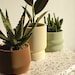 3D Printed Plant Pots: HOMER, MAYLA, ELIF in Pistachio Green, Almond ...