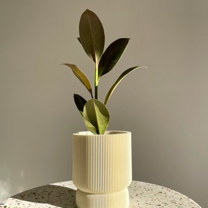 Set of 3 Small 3D Printed Plant Pots HOMER, MAYLA, ELIF in Pistacco ...