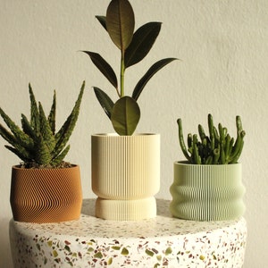 3D Printed Plant Pots: HOMER, MAYLA, ELIF in Pistachio Green, Almond ...