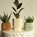 3D Printed Plant Pots: HOMER, MAYLA, ELIF in Pistachio Green, Almond ...