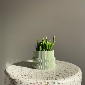 Set of 3 Small 3D Printed Plant Pots HOMER, MAYLA, ELIF in Pistacco ...