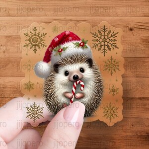 Cute Hedgehog Christmas PNG, Christmas Animal Clipart, Holiday Season ...