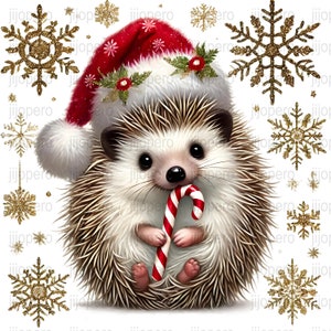 Cute Hedgehog Christmas PNG, Christmas Animal Clipart, Holiday Season ...