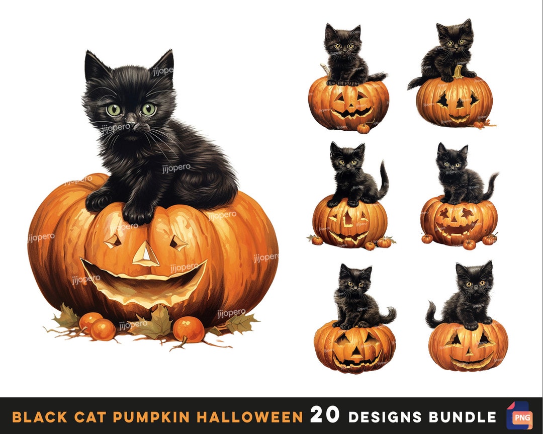 Black Cat Png Pumpkin and Black Cat Png Cat Lover Png Halloween Png ...