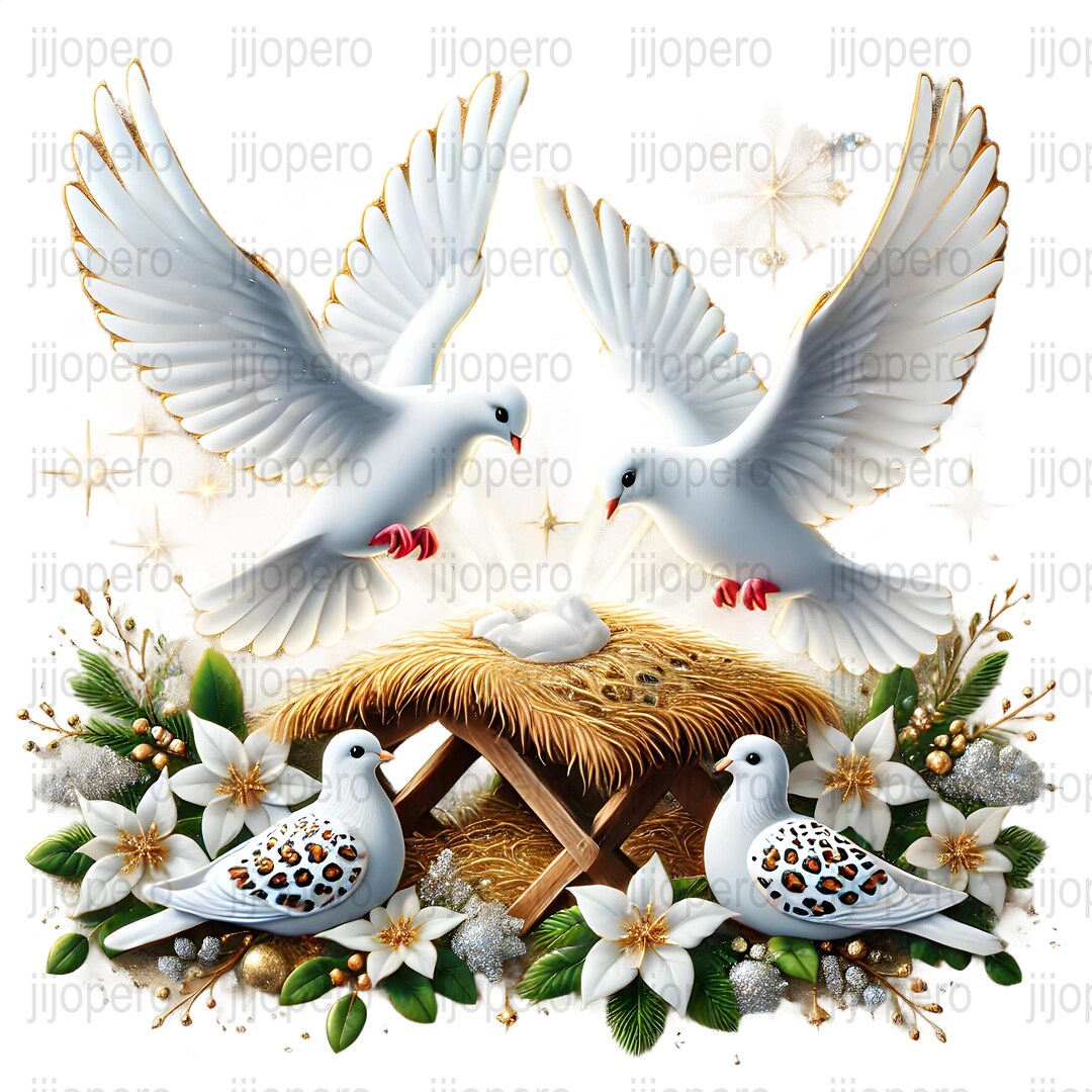 Christmas Dove PNG Christmas Birds Digital Art Nativity Scene Holiday ...