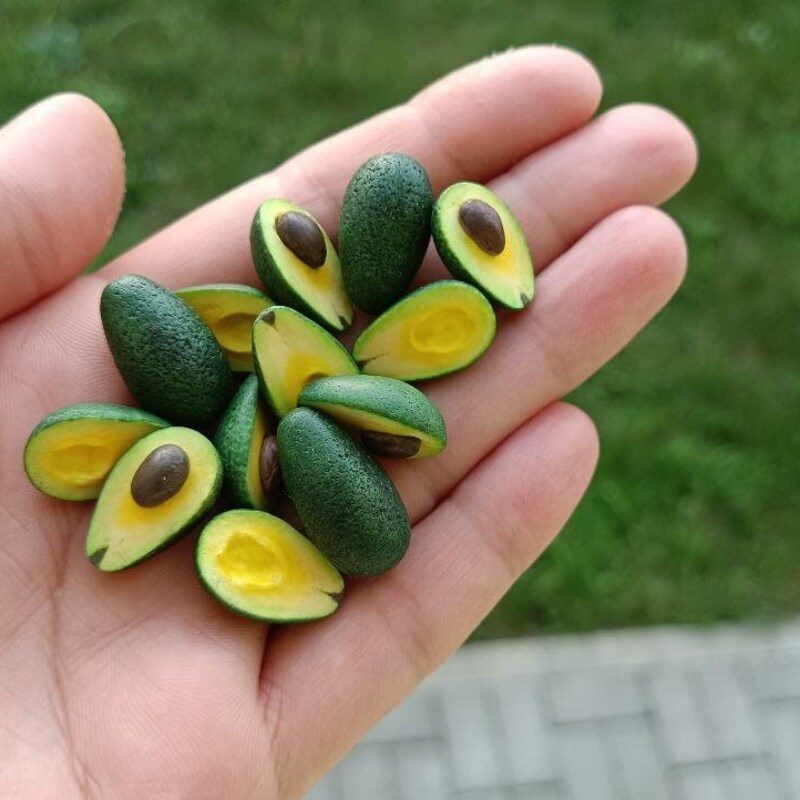 Realistic Miniatures - Etsy