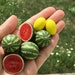 Watermelon 1/6 Scale Food, A Slice of Watermelon, Dollhouse Miniatures ...