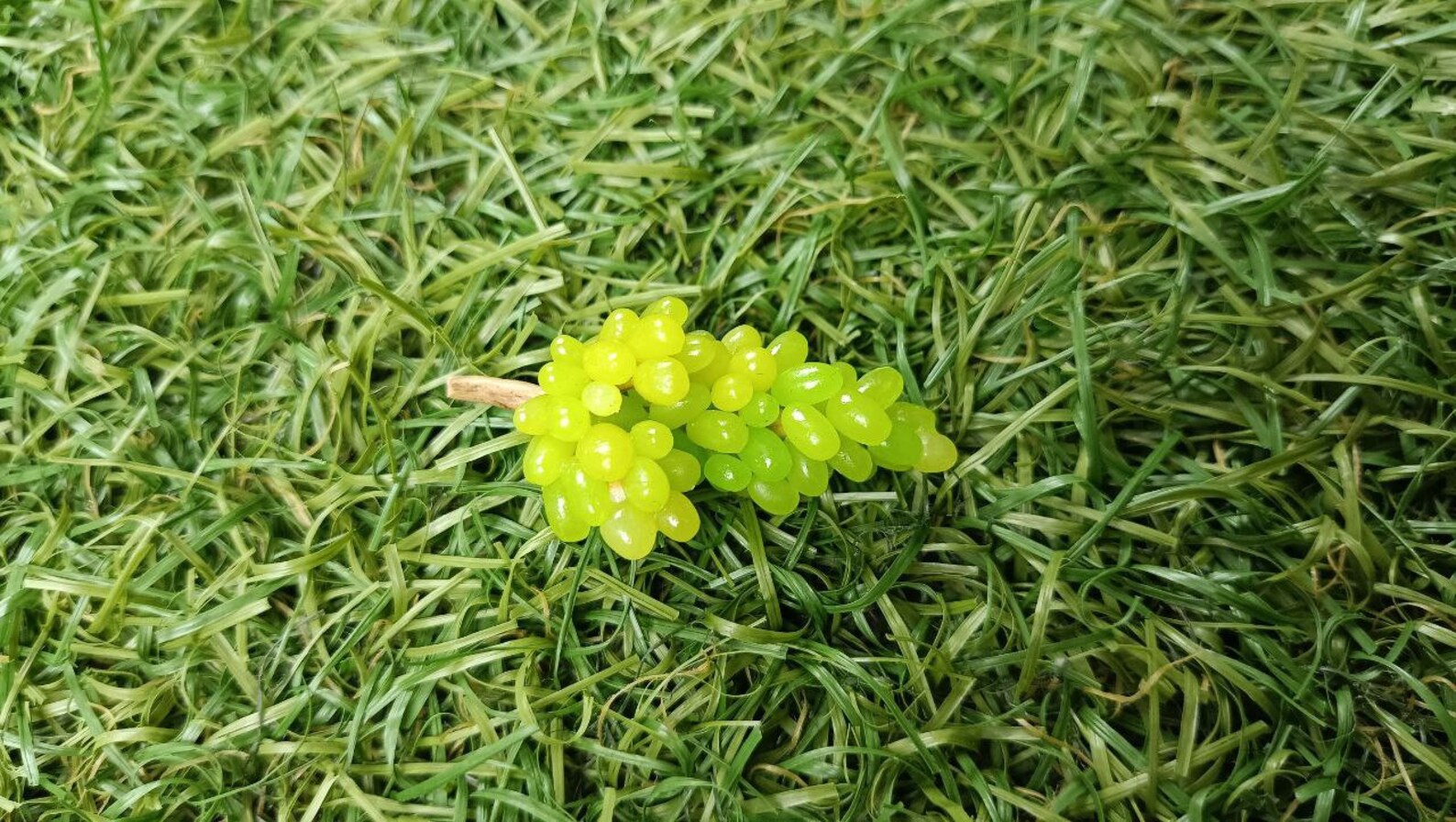 Miniature Grape 1/6 Scale Doll Food Grape 1/12 1/6 - Etsy