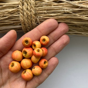 Apples 1/12 1/6 Scale, Miniature Fruit, Dollhouse Miniatures, Miniature ...