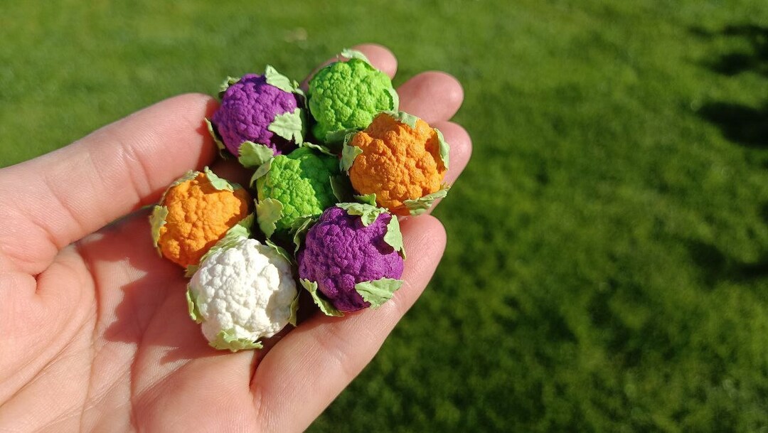 Miniature Cauliflower, 1:6 Scale Doll Food, Miniature Food, Doll ...