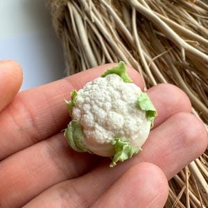 1:6 Scale Miniature Vegetable, Dollhouse Miniature Cauliflower ...