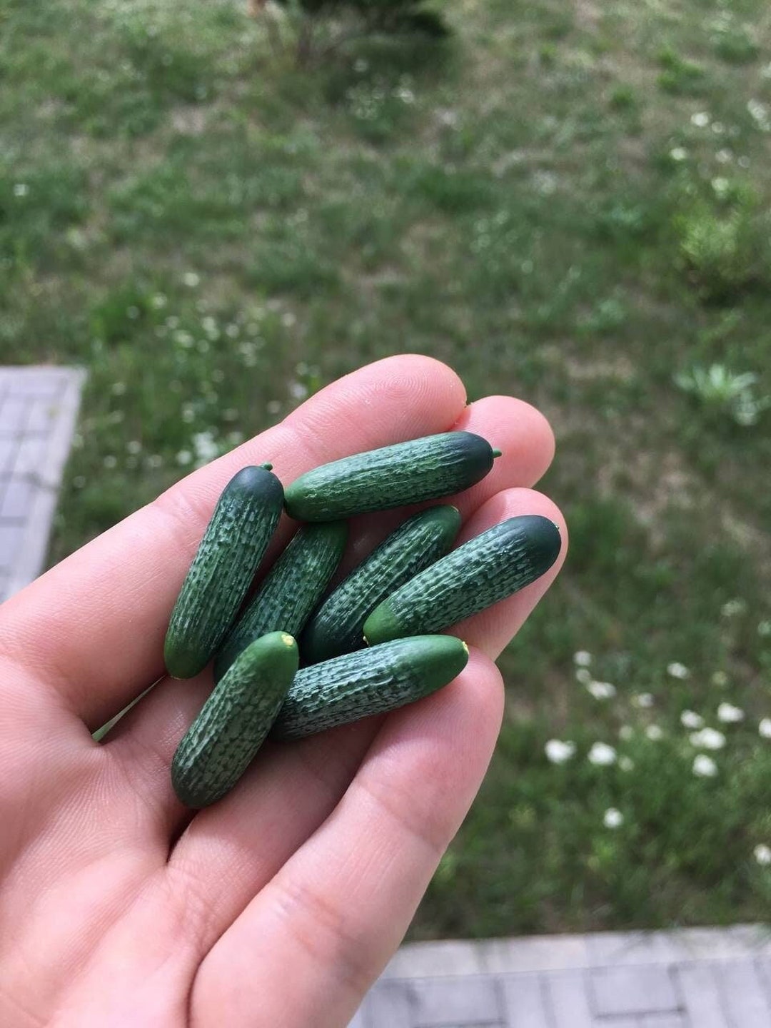 1/6 1/12 Scale Vegetable, Miniature Cucumber, Miniature Food, Dollhouse ...