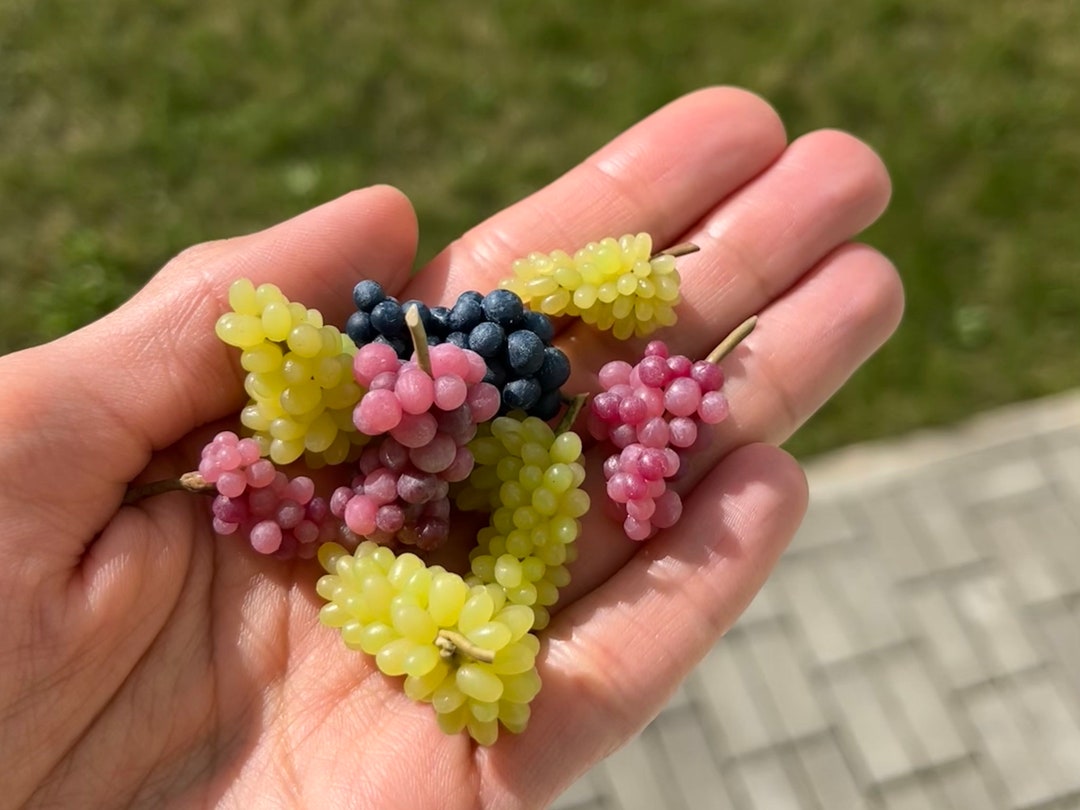 Miniature Fruit, 1/6 Scale Doll Food, Grape 1/12 1/6, Miniature Food ...