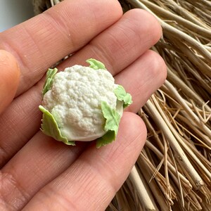 1:6 Scale Miniature Vegetable, Dollhouse Miniature Cauliflower ...